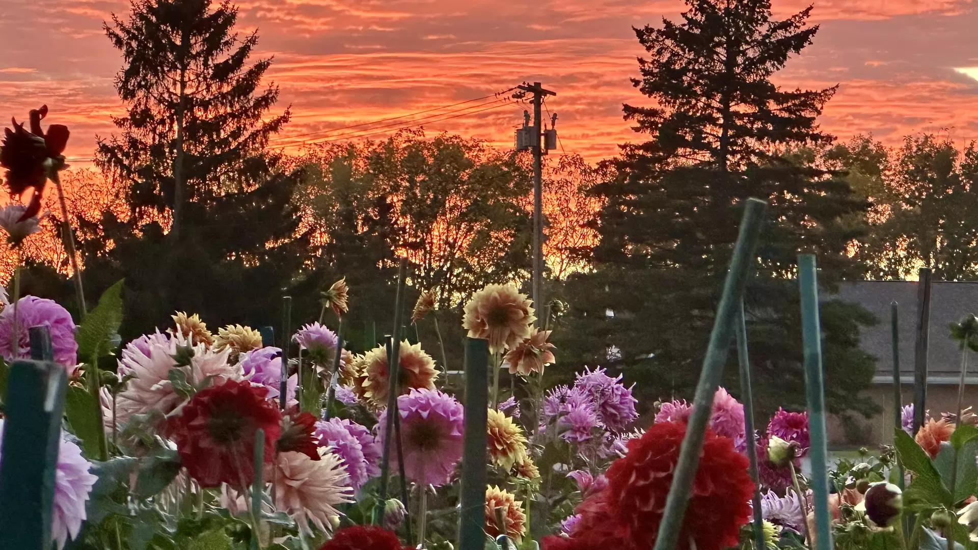 Home Page | Henrietta NY