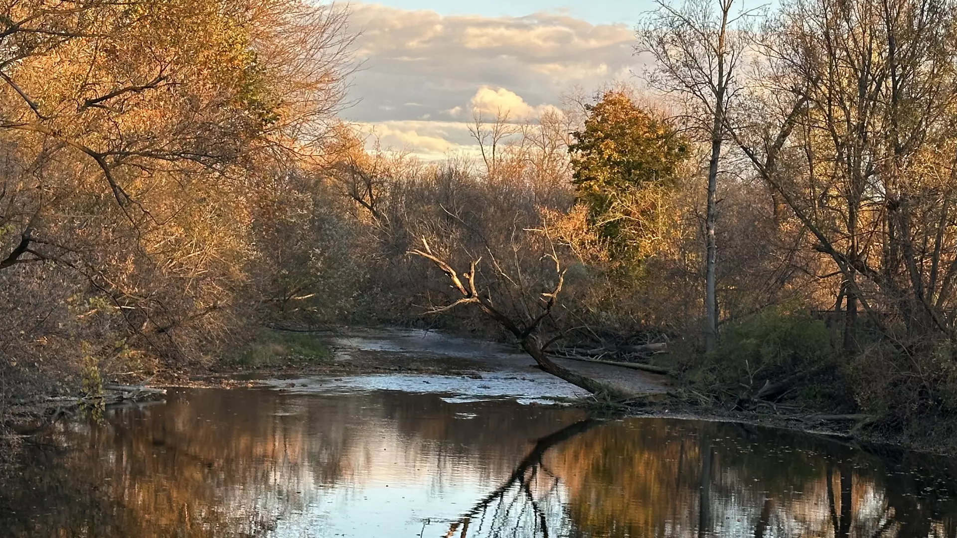 Home Page | Henrietta NY
