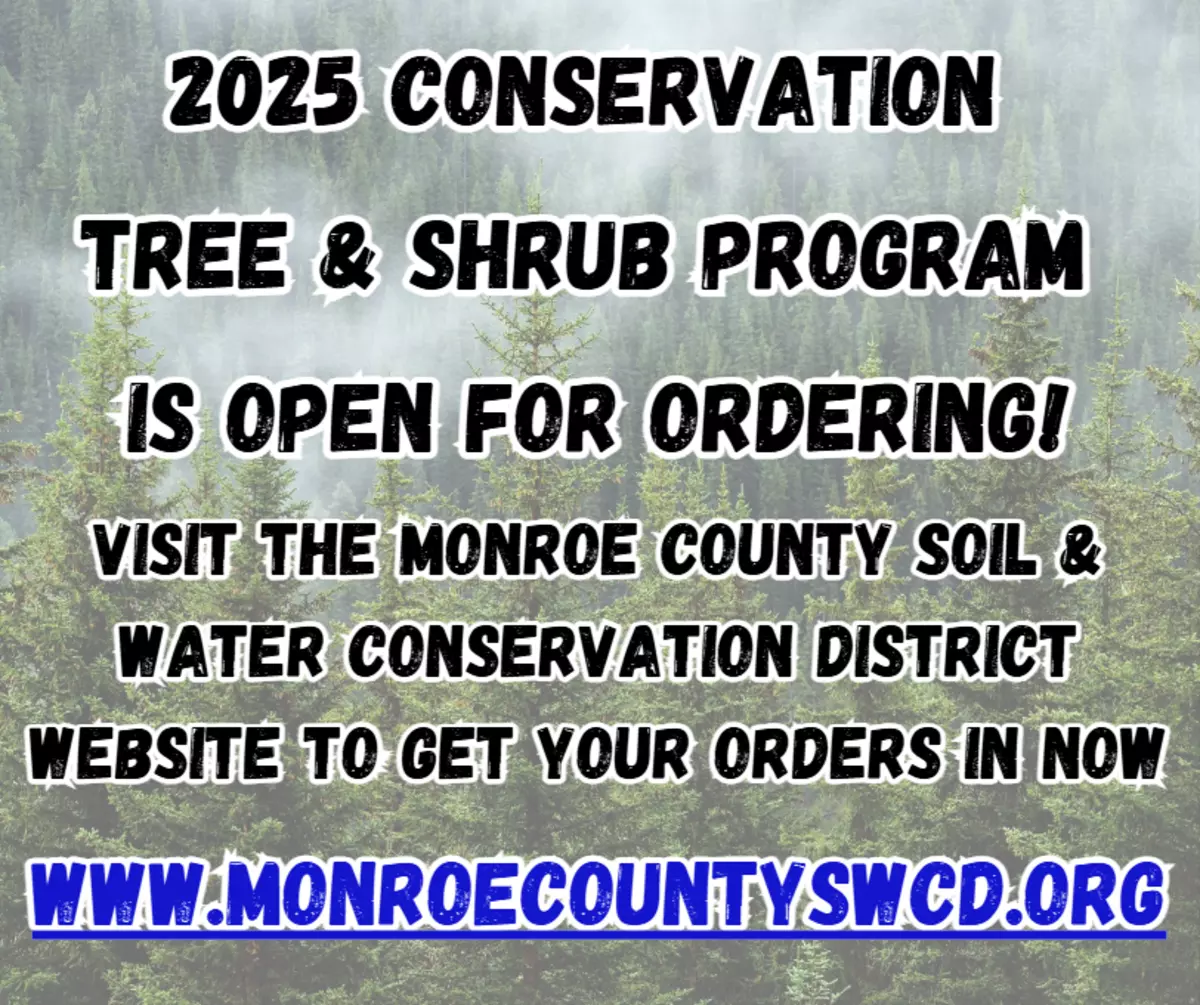 2025 Conservation Tree & Shrub Program | Henrietta NY
